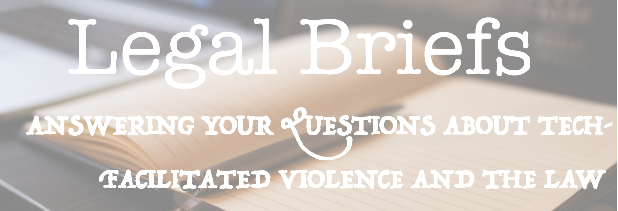 Legal Briefs: Tech-Facilitated Violence & the Law – Equality Project